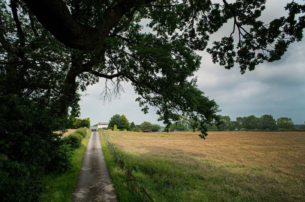 Weddings | Runa Farm